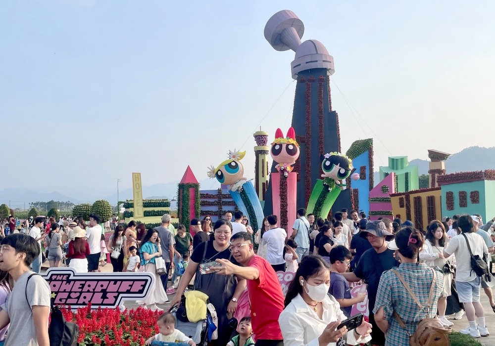 鳳凰颱風過後人潮爆發！臺中國際花毯節將突破百萬參觀人次 農特產品銷售飆破一千伍佰萬元